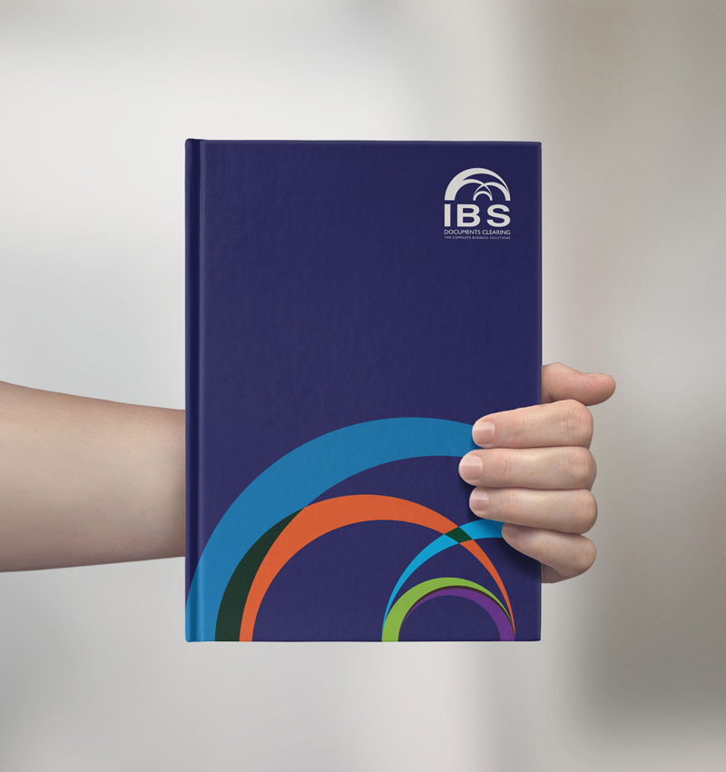 IBS Solutions - Digiant Media